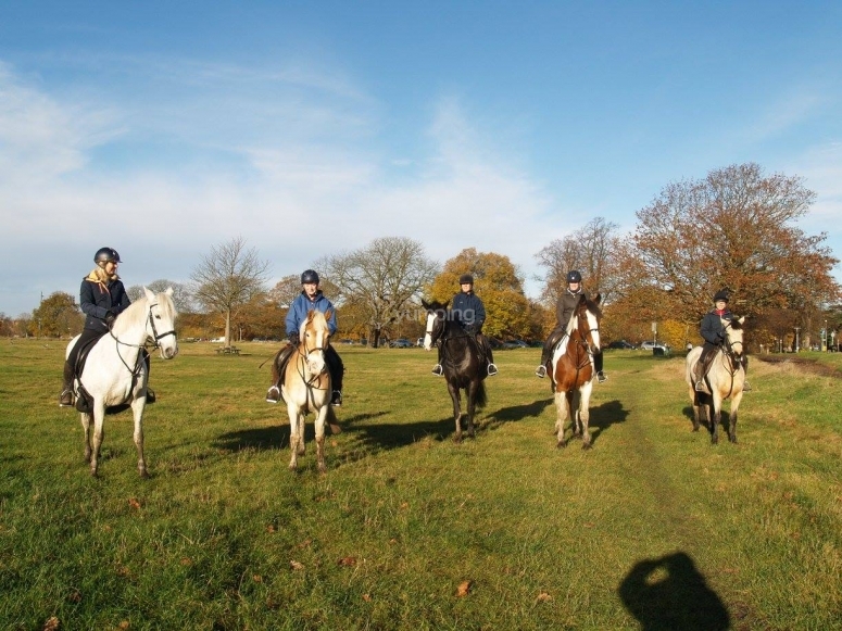 Wimbledon Village Stables, prices and bookings 2026 | Yumping