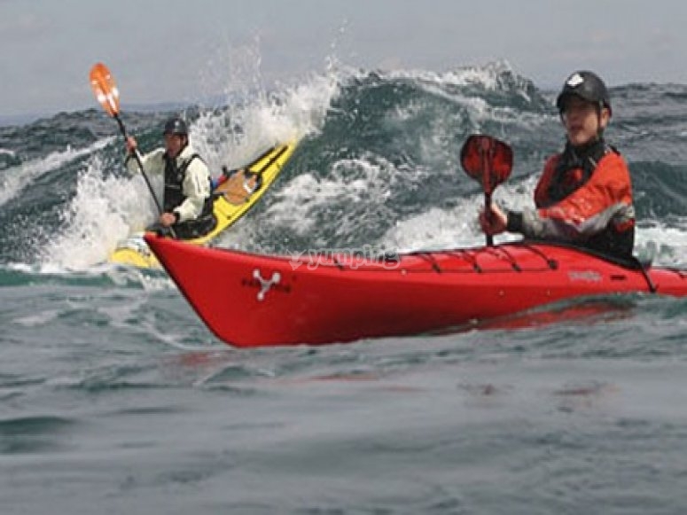 Sea Kayak Guides Sea Kayak, prices and bookings 2025 | Yumping