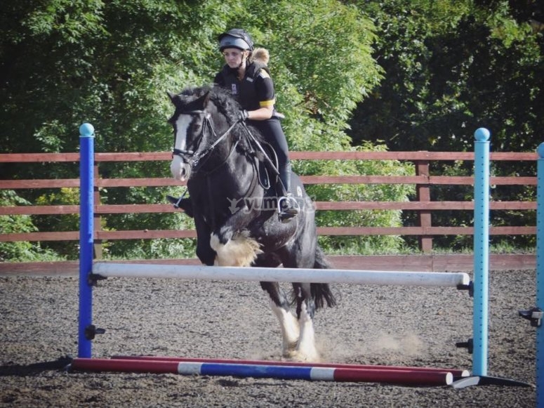 Littlebourne Equestrian Centre, prices and bookings 2025 | Yumping