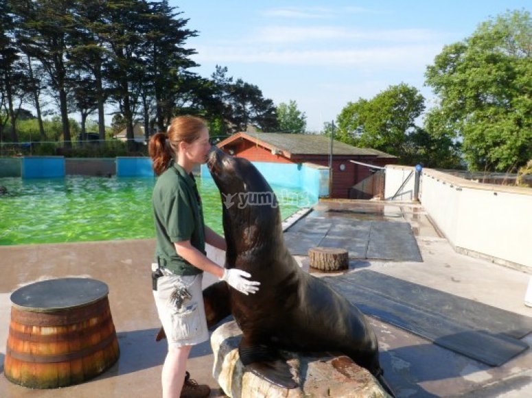The Welsh Mountain Zoo, prices and bookings 2026 | Yumping