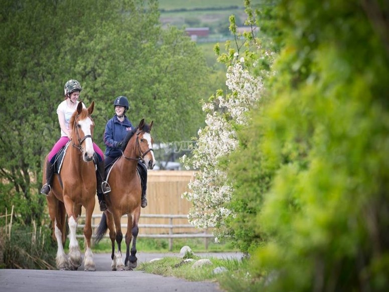 Cimla Equestrian Holiday Centre, prices and bookings 2025 | Yumping