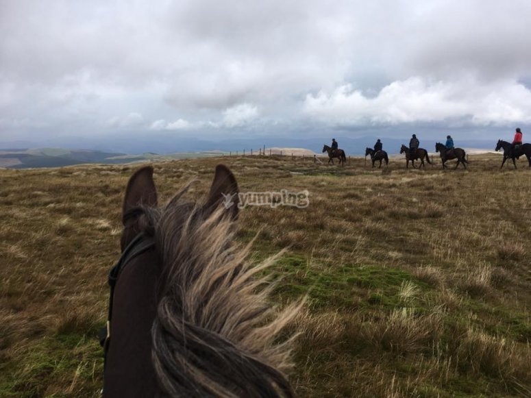 Ellesmere Riding Centre, prices and bookings 2025 | Yumping