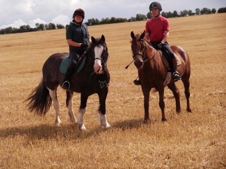 Monach Farm Riding Stables, prices and bookings 2026 | Yumping
