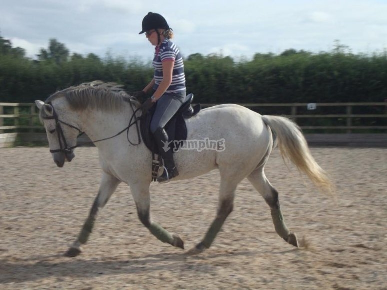 Radway Riding School, prices and bookings 2025 | Yumping