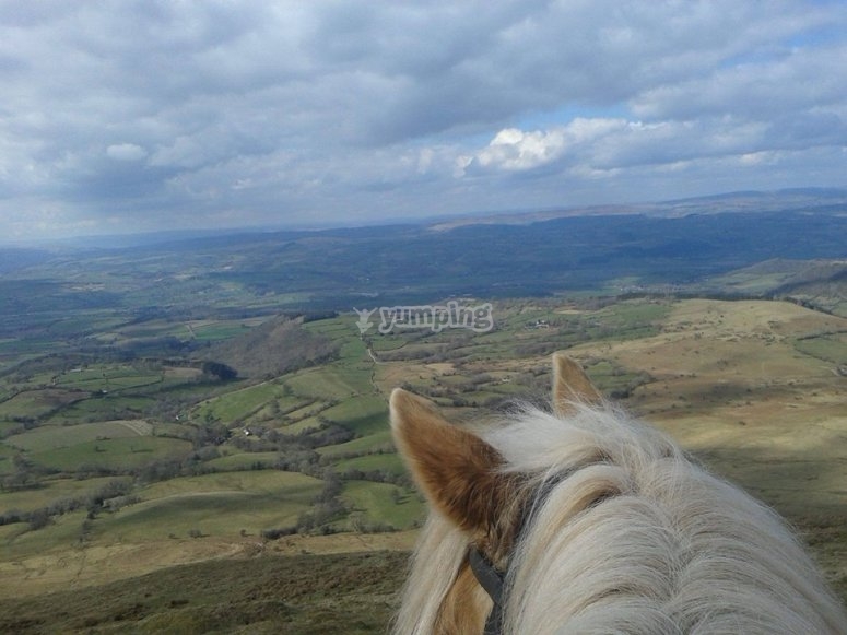 Tregoyd Mountain Riders, prices and bookings 2025 | Yumping