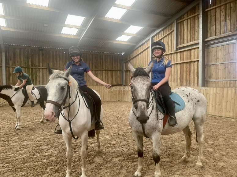 Private Group Riding Lesson in Carharrack, 30Min from £42 | Yumping