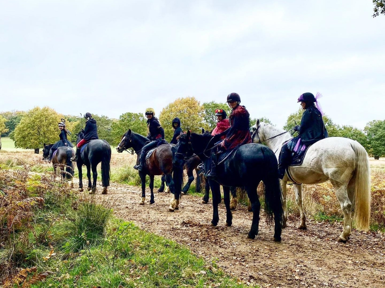 Hyde Park Stables, prices and bookings 2026 | Yumping