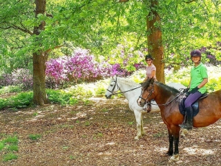 Stag Lodge Stables, prices and bookings 2025 | Yumping