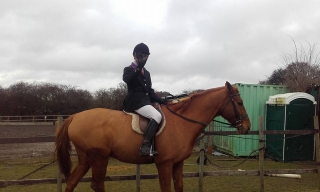 Sunshine Riding School, precios y reservas 2025 | Yumping