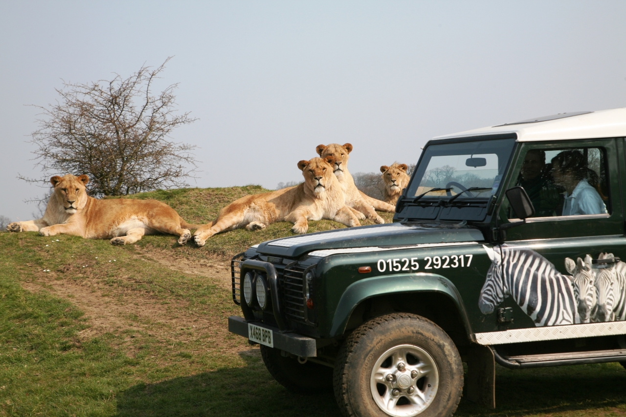 Woburn Safari Park, prices and bookings 2025 | Yumping