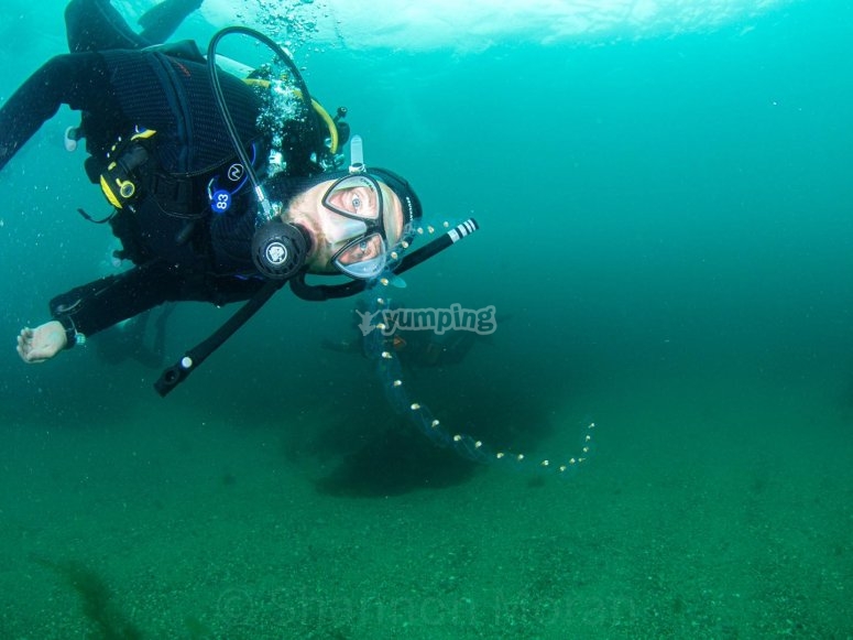 Cornish Diving Centre, prices and bookings 2025 | Yumping