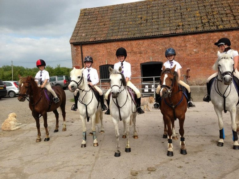 Alstone Court Riding Establishment, prices and bookings 2026 | Yumping