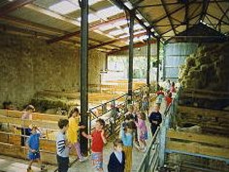 Foel Farm Park, prices and bookings 2025 | Yumping