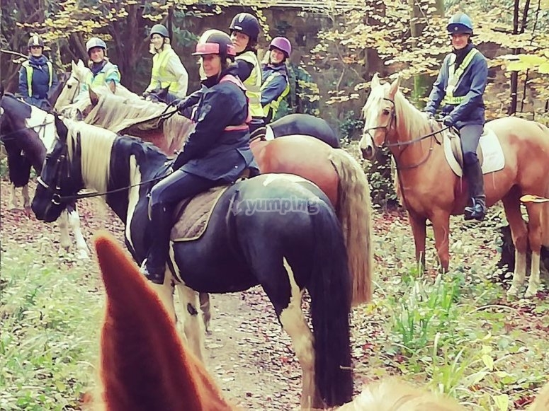 East View Riding Centre, prices and bookings 2025 | Yumping