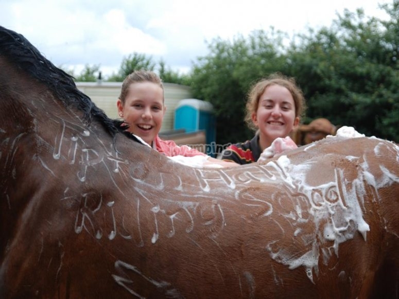 Tipton Hall Riding School, precios y reservas 2025 | Yumping