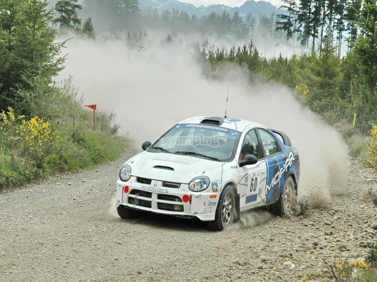 Dynamic Drivers Rally & Stunt Driving School, prices and bookings 2025 ...