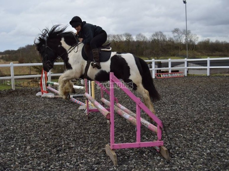 Broad View Riding School, prices and bookings 2025 | Yumping