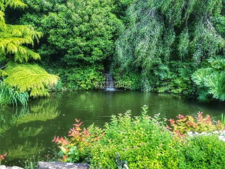 Calderglen Country Park, prices and bookings 2026 | Yumping