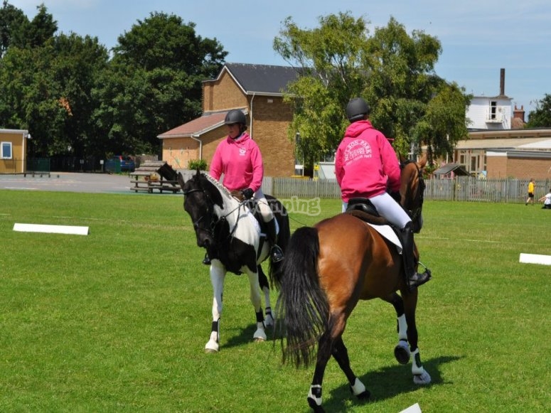 Nelson Park Riding Centre, prices and bookings 2025 | Yumping