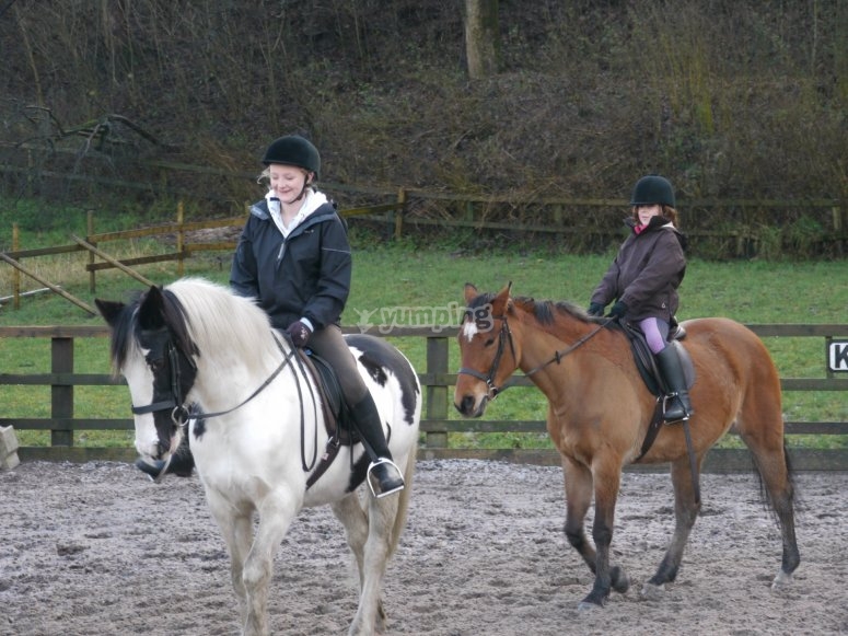 Dam Top Riding Centre, prices and bookings 2026 | Yumping