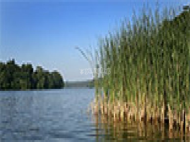 Fritton Lake, prices and bookings 2025 | Yumping