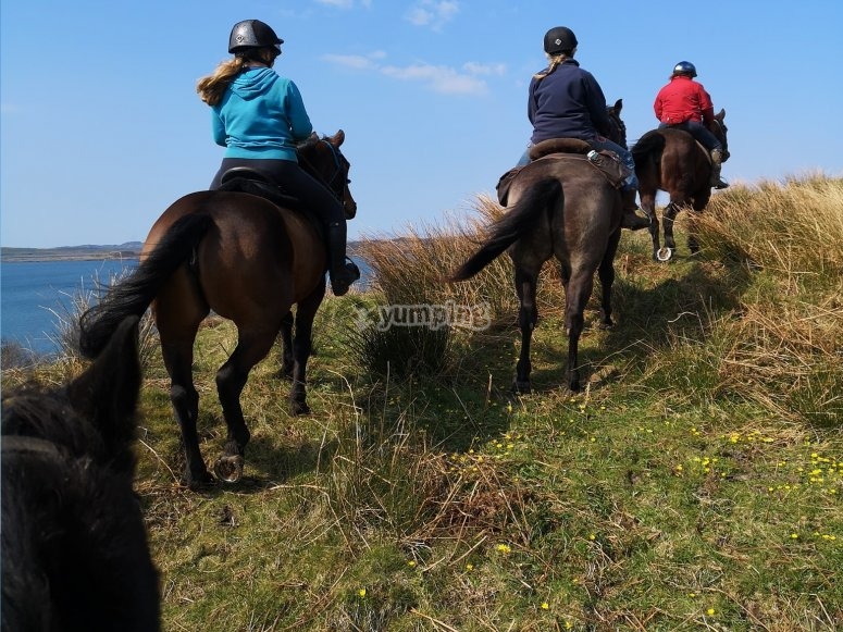 Lunga Riding Stables, 价格和预订 2025 | Yumping