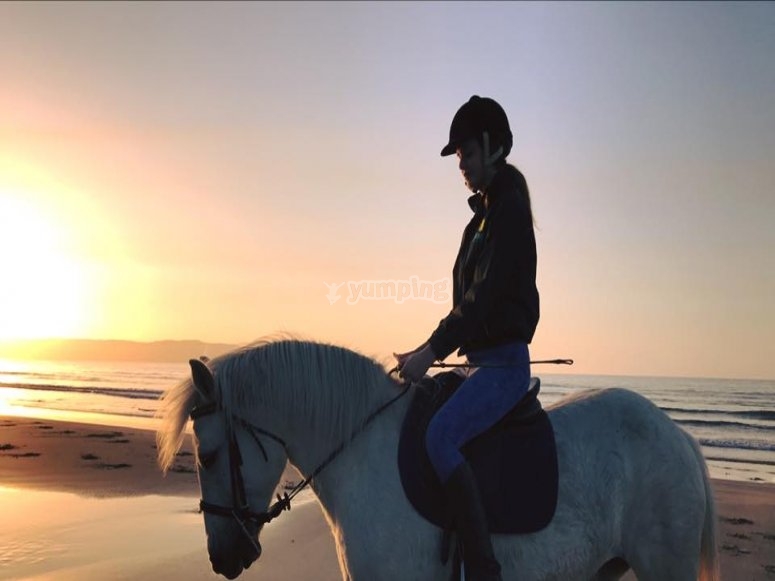 Faughanvale Stables, prices and bookings 2025 | Yumping