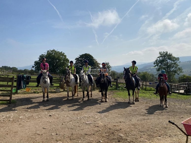 Golden Castle Riding Stables, prices and bookings 2025 | Yumping