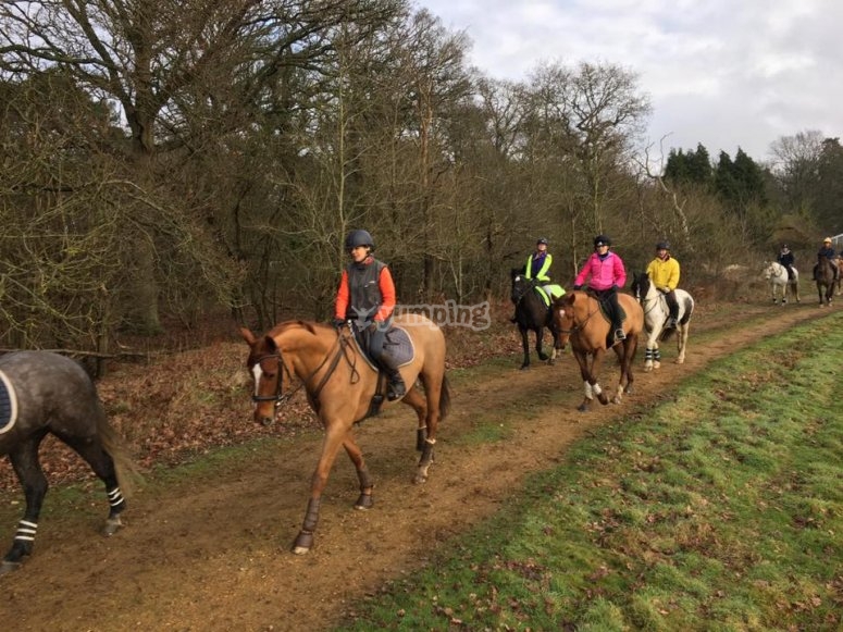 Wellington Riding, prices and bookings 2025 | Yumping