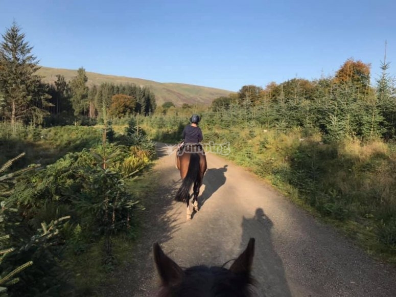 Horse Riding Tour in Strathblane for 1h from £60 | Yumping