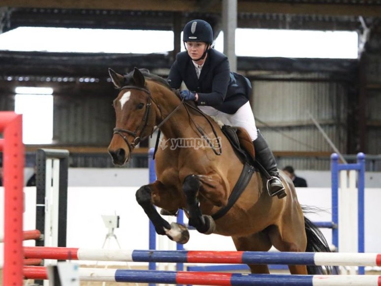 Quob Stables Equestrian Centre, prices and bookings 2025 | Yumping