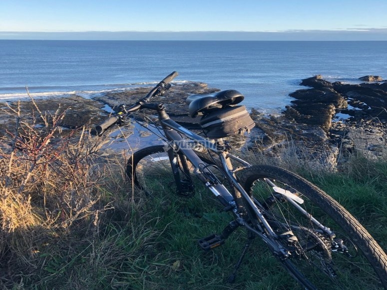 Pedal-Power Cycle Hire, precios y reservas 2025 | Yumping