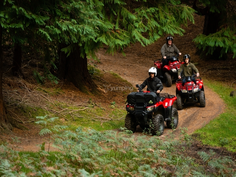 Adult Quad Bike Trek in Dunkeld Park, 1h from £60 | Yumping