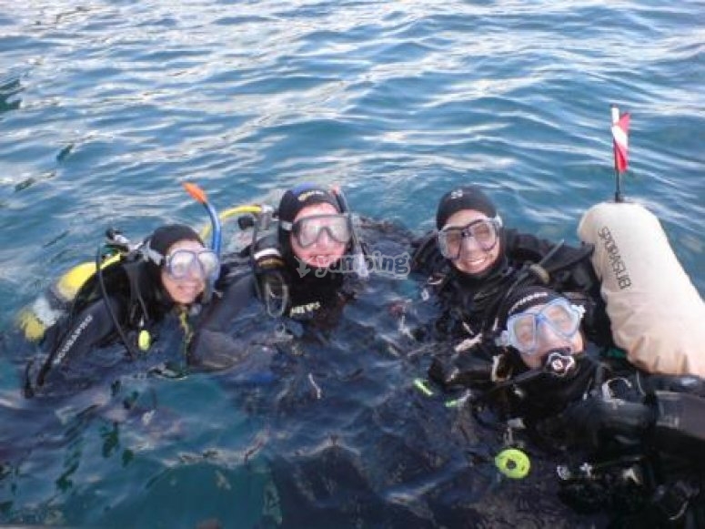 Teign Dive Centre, prices and bookings 2026 | Yumping