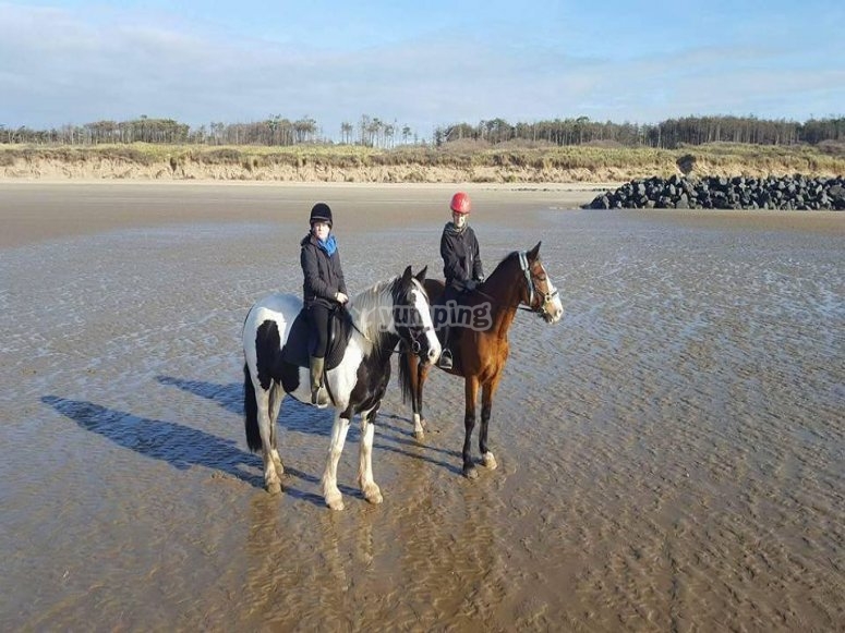 Pembrey Park Riding Centre, prices and bookings 2026 | Yumping